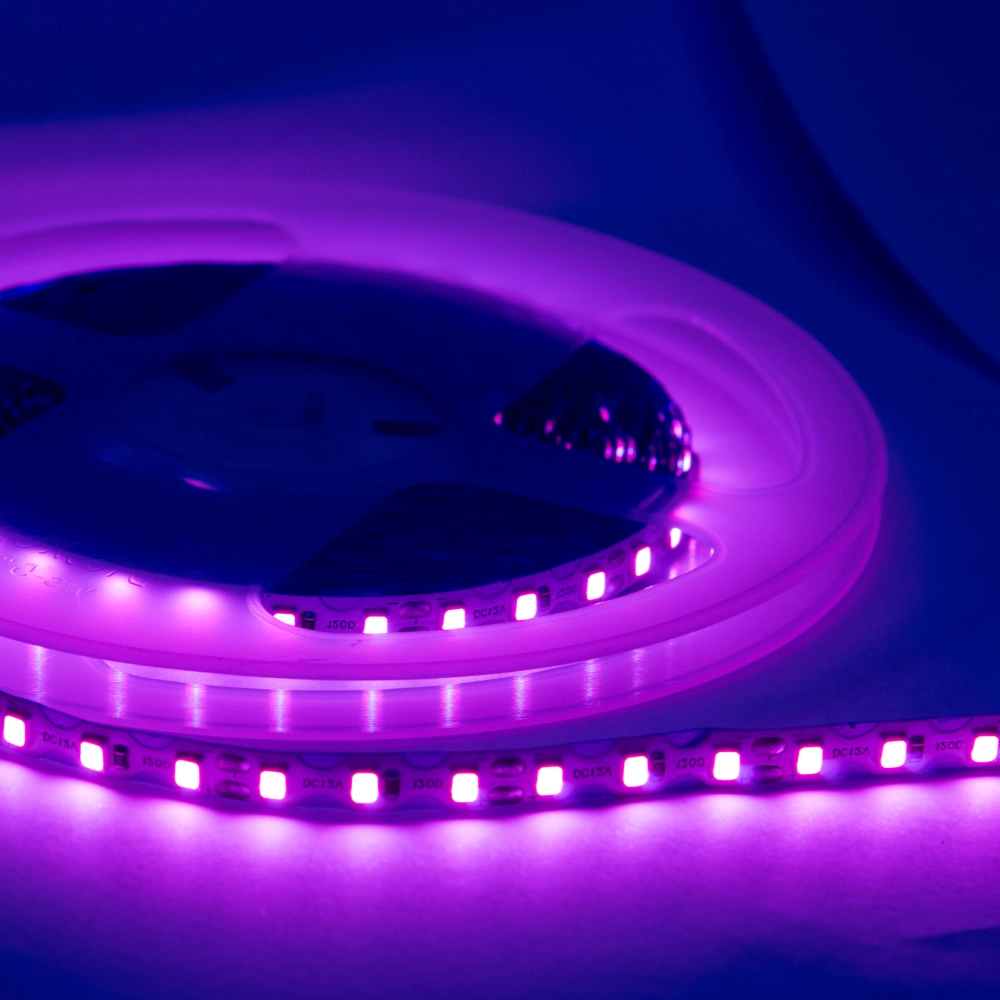 Cinta Led Morado | Led Neón